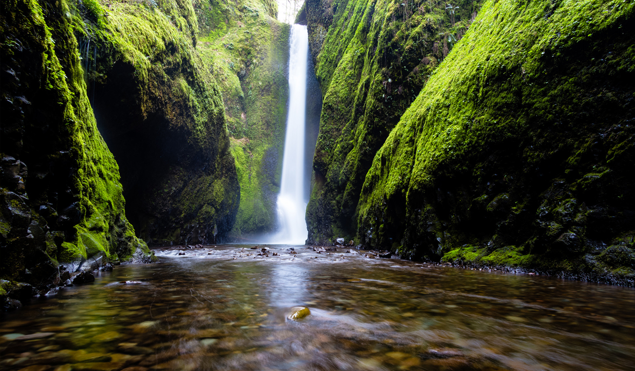 Look deep into nature. - Brilliant Dentistry
